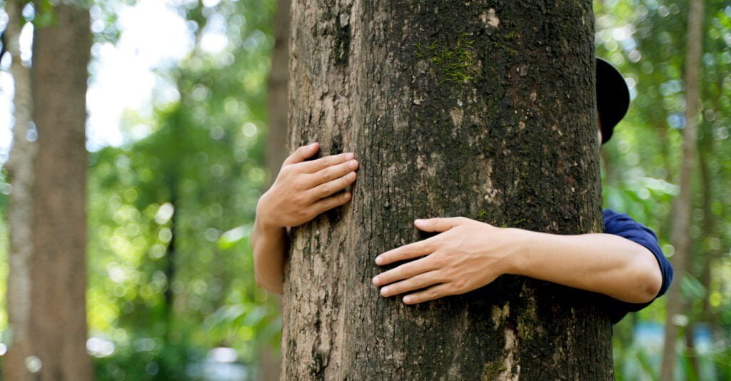 Valokuitu on ympäristöystävällinen valinta - Kaisanet